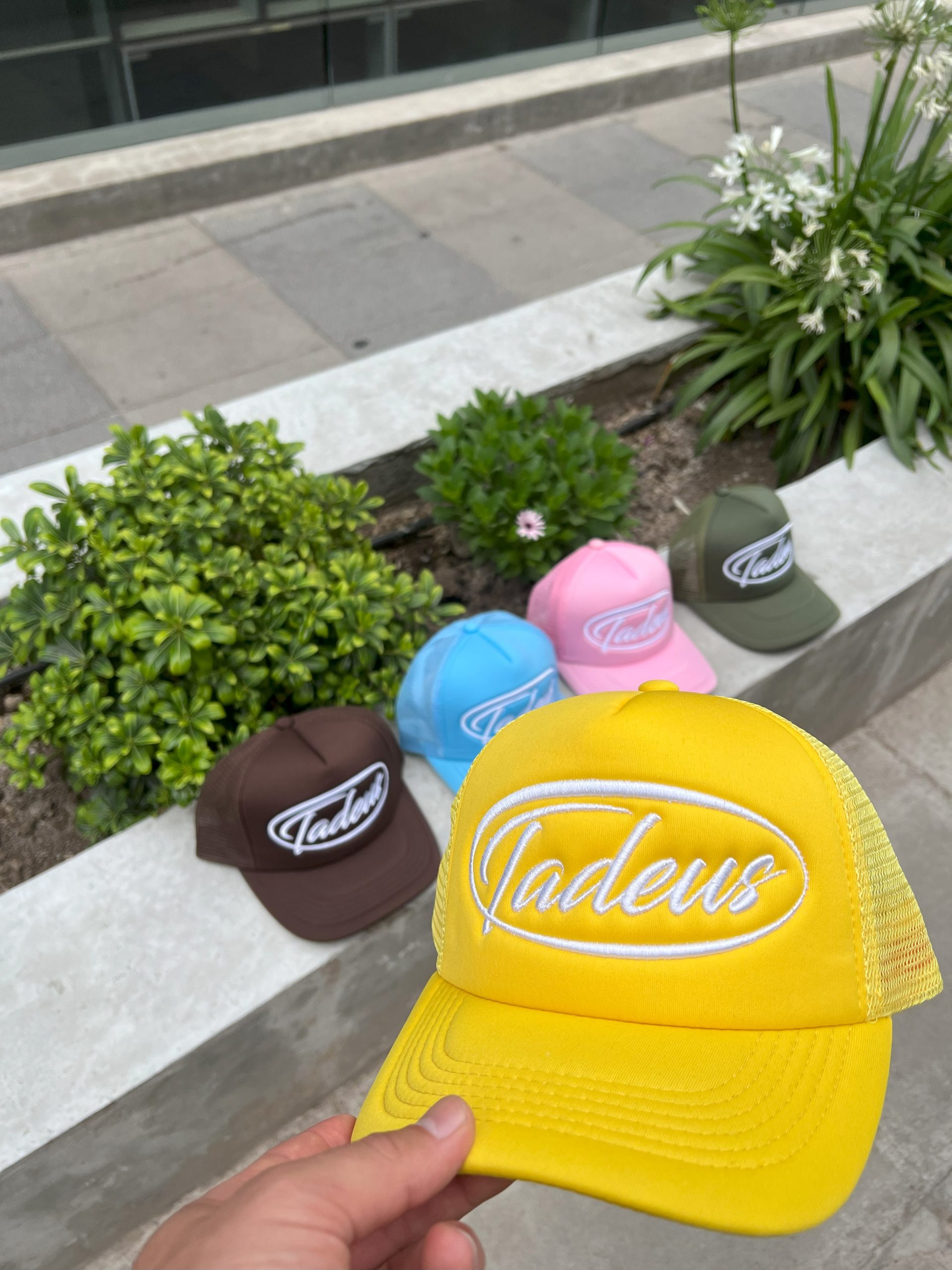 Gorros The colors - TADEUS